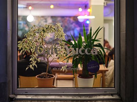 Stadt Z Rich Erh Ht Beitrag An Das Caf Yucca Solidara Z Rich