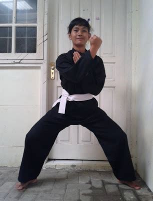 Macam Tangkisan Dalam Pencak Silat Olahragapedia