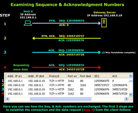 Tcp Sequence Acknowledgement Numbers Section