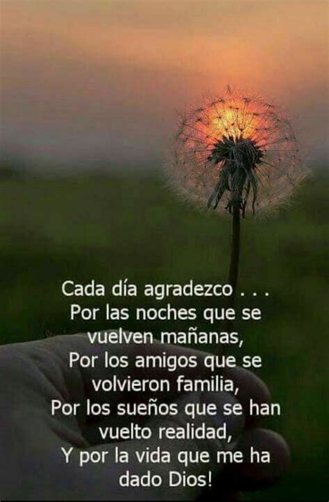 Poemas De Agradecimiento A La Vida