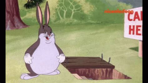 Big Chungus Laughing Big Chungus Laughing Funny Discover
