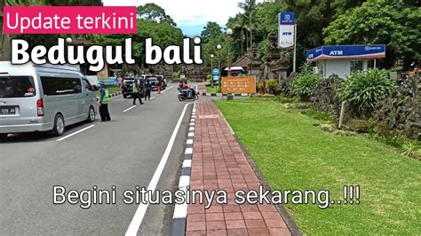 SITUASI KEBUN RAYA BEDUGUL BALI HARI INI YouTube