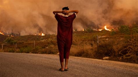 Earth Day E Focolari Insieme Per Lunit Dei Popoli E La Cura Della