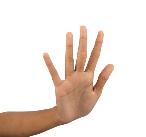 Stop Hand Gesture Sign Isolated Png