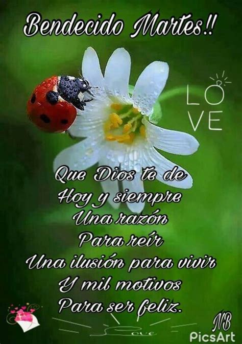 Feliz Martes amigos imágenes 289 BonitasImagenes net Feliz martes