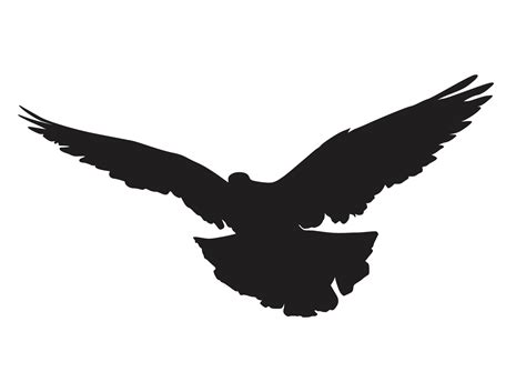 Vogel Vliegend Duif Silhouet 12904599 PNG