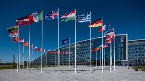 Daftar Lengkap Negara Anggota NATO Dan Peran Mereka Dalam Perang Ukraina