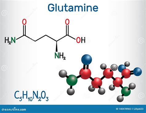 Glutamine Gln Q Amino Acid Molecule Structural Chemical Formula And