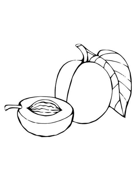 Dibujos De Ciruela Para Colorear Para Colorear Pintar E Imprimir