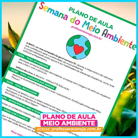 Plano De Aula De Dia Do Meio Ambiente Professora Coruja