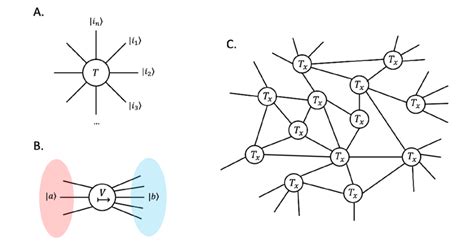 a graphical representation of tensor from eq 2 1 b graphical download scientific diagram