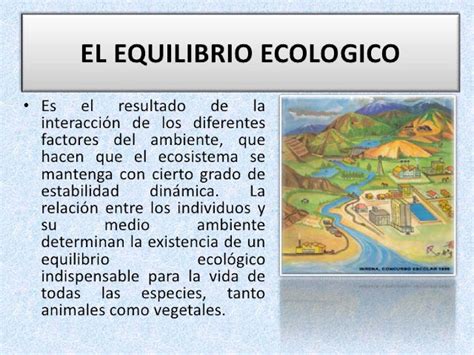 La Contaminación Equilibrio Ecologico
