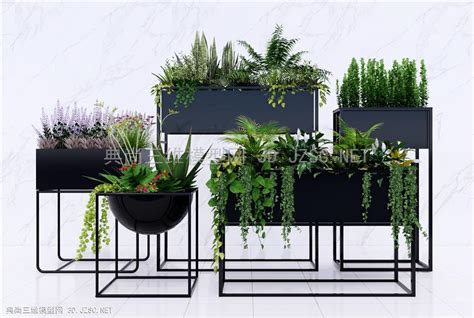 景观植物灌木花丛花卉组合SU模型 室内植物模型SU模型