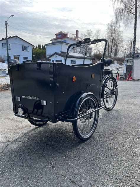 Elektrisk Familliesykkel Cargosykkel Amladcykler Med Plass For Fire