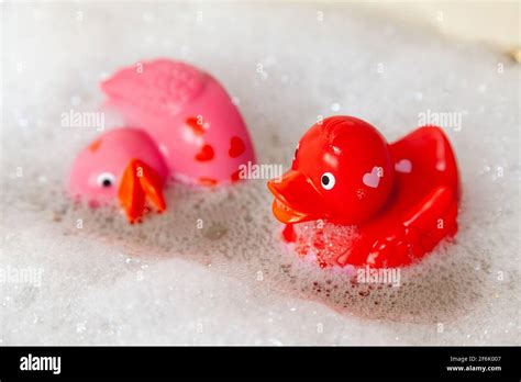 Rubberduck Bath Hi Res Stock Photography And Images Alamy