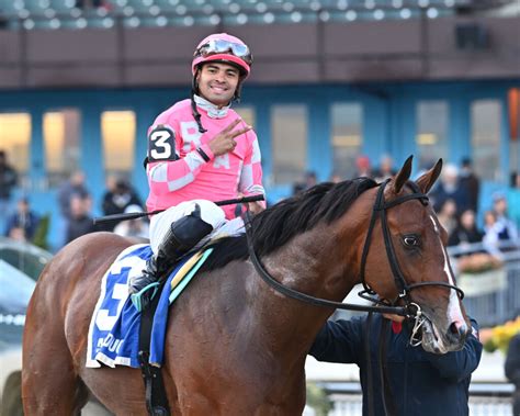 10 Pedigree Fun Facts Dornoch News Kentucky Derby