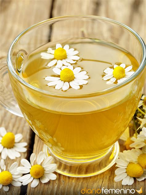 Propiedades Medicinales De La Manzanilla Mejor Con Salud 54 OFF