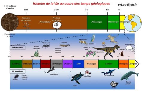 Les échelles de la biodiversité SVT 2nde Vive les SVT Les