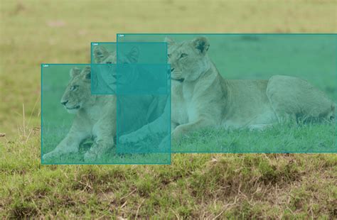 Annotating Bounding Boxes For Object Detection