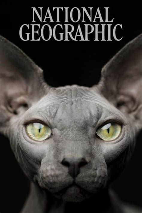 Las 10 Mejores Revistas Para Los Amantes De La Naturaleza GoBookMart