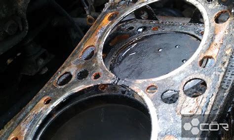 Oil Leak Gasket Repair Cost
