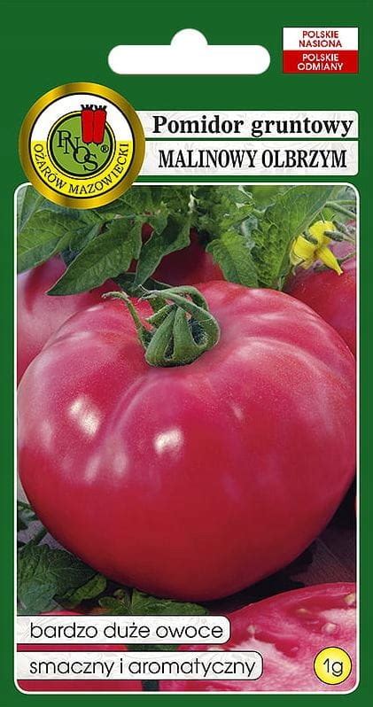 Pomidor Malinowy Olbrzym Gruntowy 1 G Pnos 5904232205736 Cena