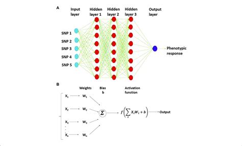 representation of multilayer perceptron mlp with three hidden download scientific diagram