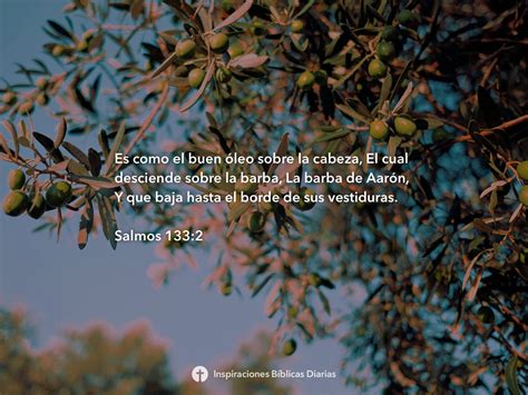 Salmos Inspiraciones B Blicas Diarias