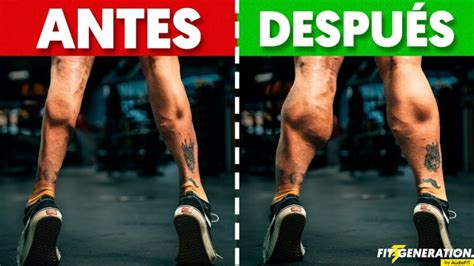 Tipos De Fibras Musculares Y Relaci N Con El Entrenamiento