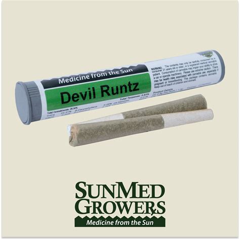 Devil Runtz Pre Roll 0 5g 2 Pack SunMed Growers
