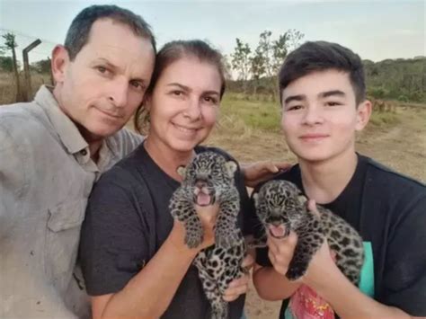 Ibama multa instituto onde onça da novela Pantanal nasceu Meio