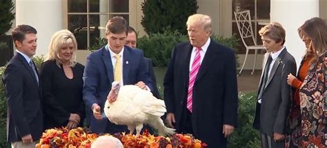 WATCH Trump Pardons Thanksgiving Turkeys Drumstick And Wishbone