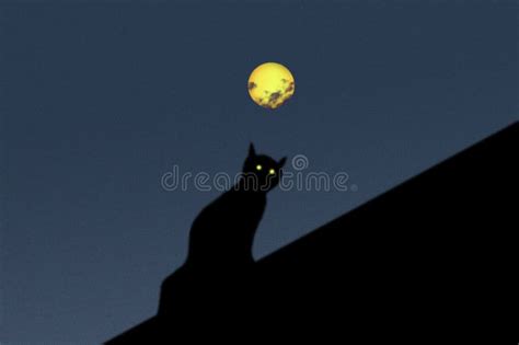 1 739 Gato Negro En El Tejado Fotos de stock Fotos libres de regalías