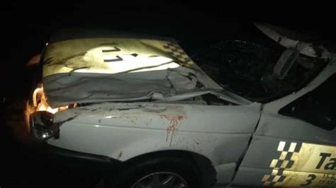 Choque de taxi con semoviente deja dos heridos en la vía corta