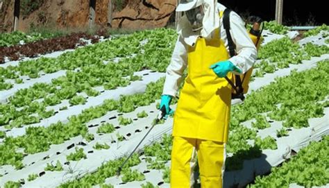 NR 31 reforça que EPIs são essenciais para garantir a segurança do