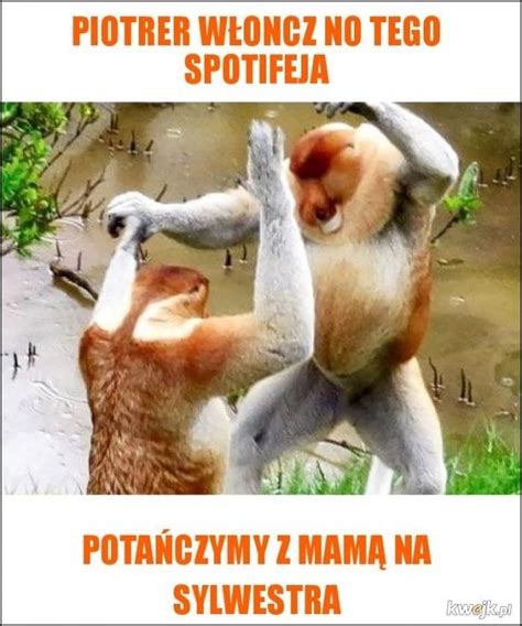 Naj Mieszniejsze Memy O Januszach Zobacz Jak Internauci Artuj Z