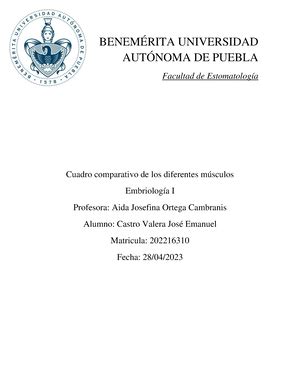 Embrio Histolog A Y Embriolog A Bucodental Studocu
