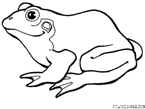 Coloriage Grenouilles Gratuit 2561 Animaux