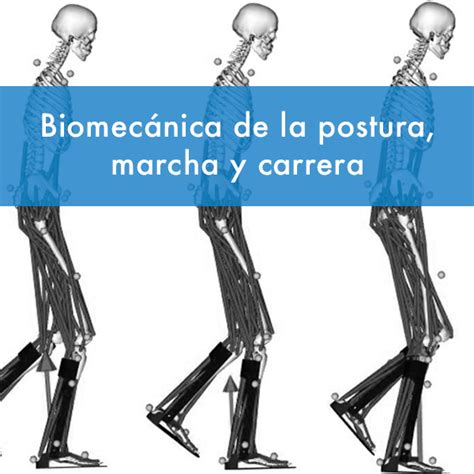 Formación en Biomecánica de la Postura marcha y carrera Fisioterapia