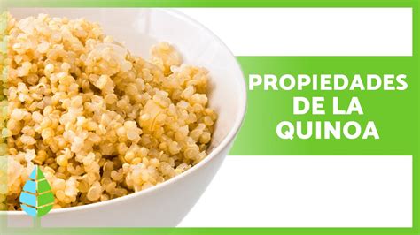 BENEFICIOS de la QUINOA para la salud PROPIEDADES Para qué Sirve y