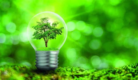 La Sustentabilidad Est Transformando Al Mundo En Diversos Sectores