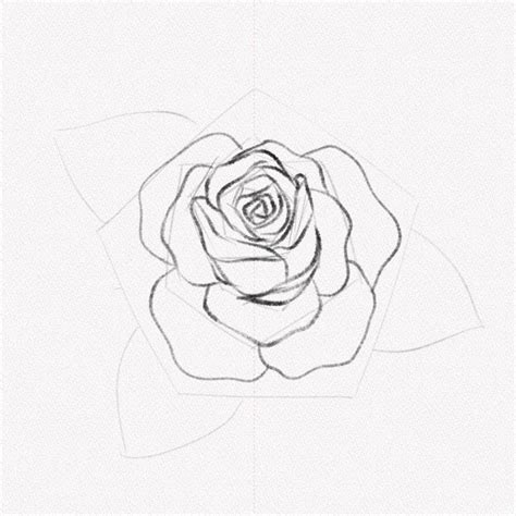 How To Draw The Top Of A Rose Advancefamiliar