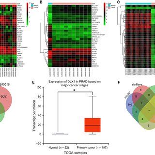 Microarraybased Gene Expression Profiling Identifies The Involvement