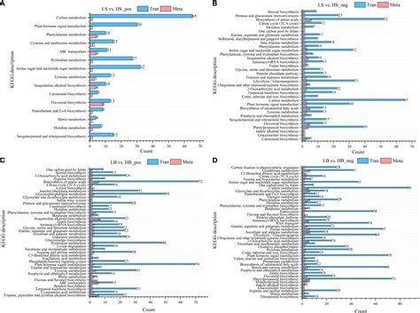 Frontiers Combined Analysis Of Transcriptome And Metabolome Reveals