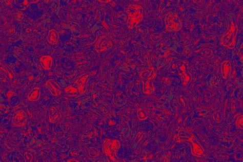 Form Der Bakterienzelle Kokken Bazillen Spirilla Bakterien