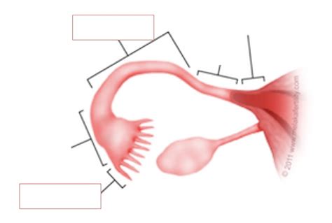 Midterm 1 Image 3 Diagram Quizlet