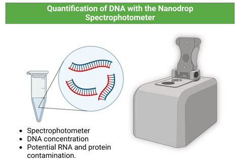 Quantifying And Checking Genomic Dna