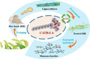 A Novel Cetyltrimethylammonium Bromide Based Deep Eutectic Solvent