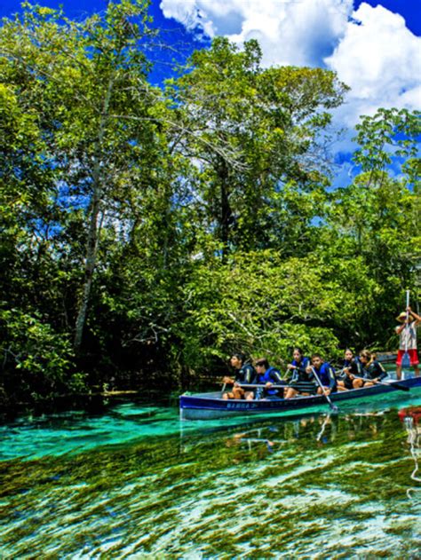 Motivos Para Conhecer Bonito MS Bonito MS Agência Bonito Eco Tour