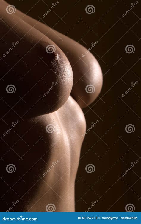 Cuerpo Femenino Desnudo Foto De Archivo Imagen De Sensaciones 61357218
